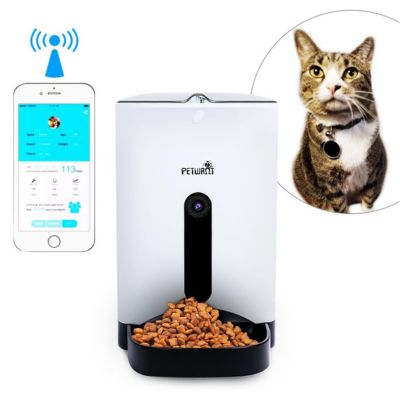11 Best Smart Dog Feeders | Everything Labradors